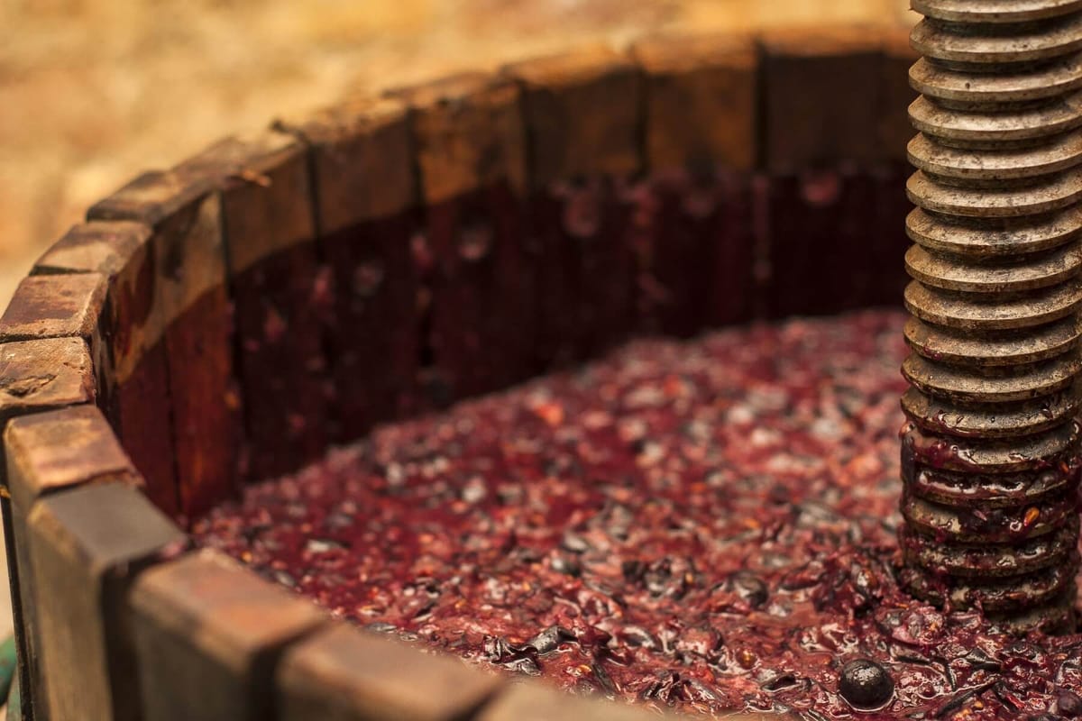 How Wine Is Made: A Brief Overview | Good Pair Days