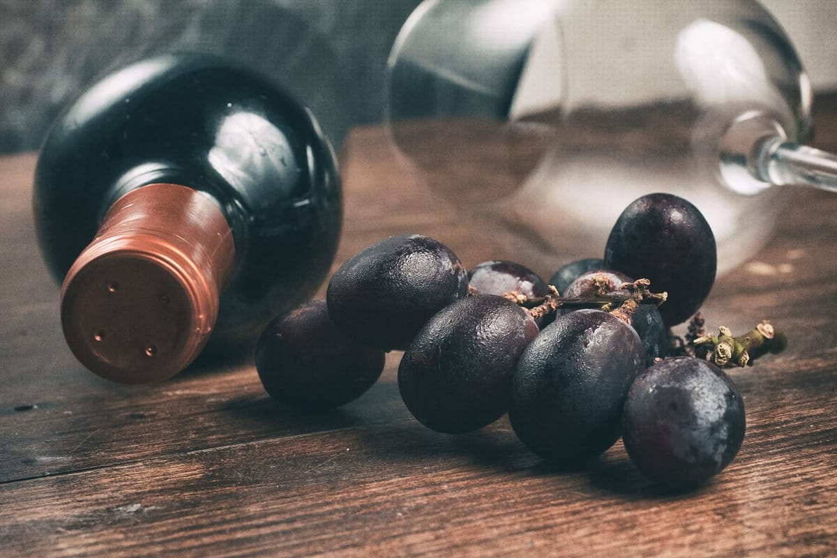 Five Facts You Didn't Know About Pinot Noir | Good Pair Days