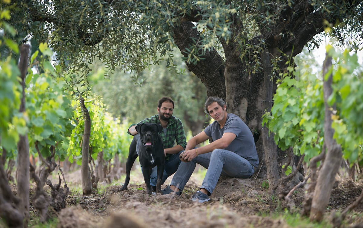 Meet the Maker - Matias Fraga / MAAL / Argentina