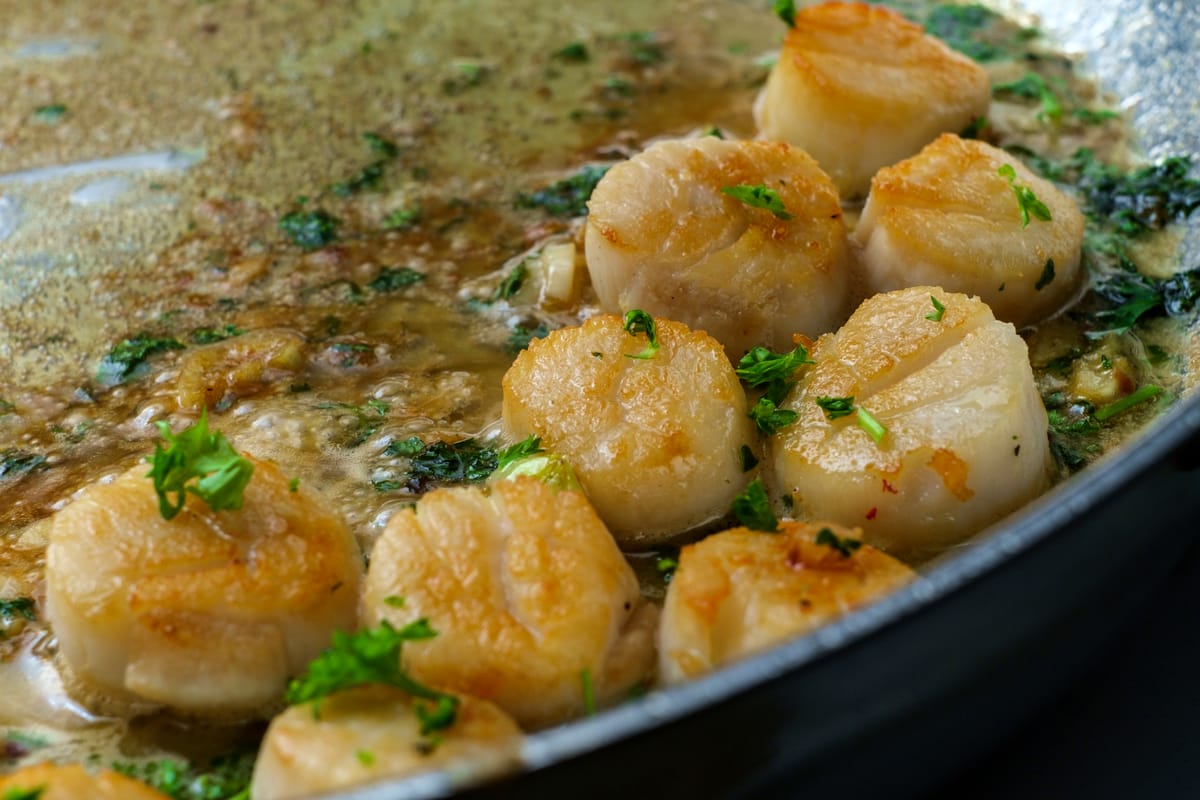 Scallops with Kale and Anchovies